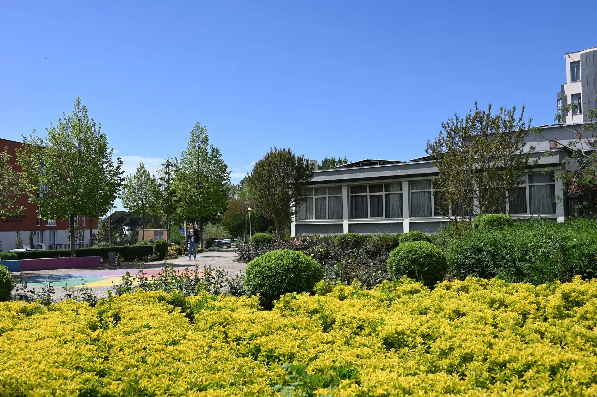 Bachelor Programmes - AUT